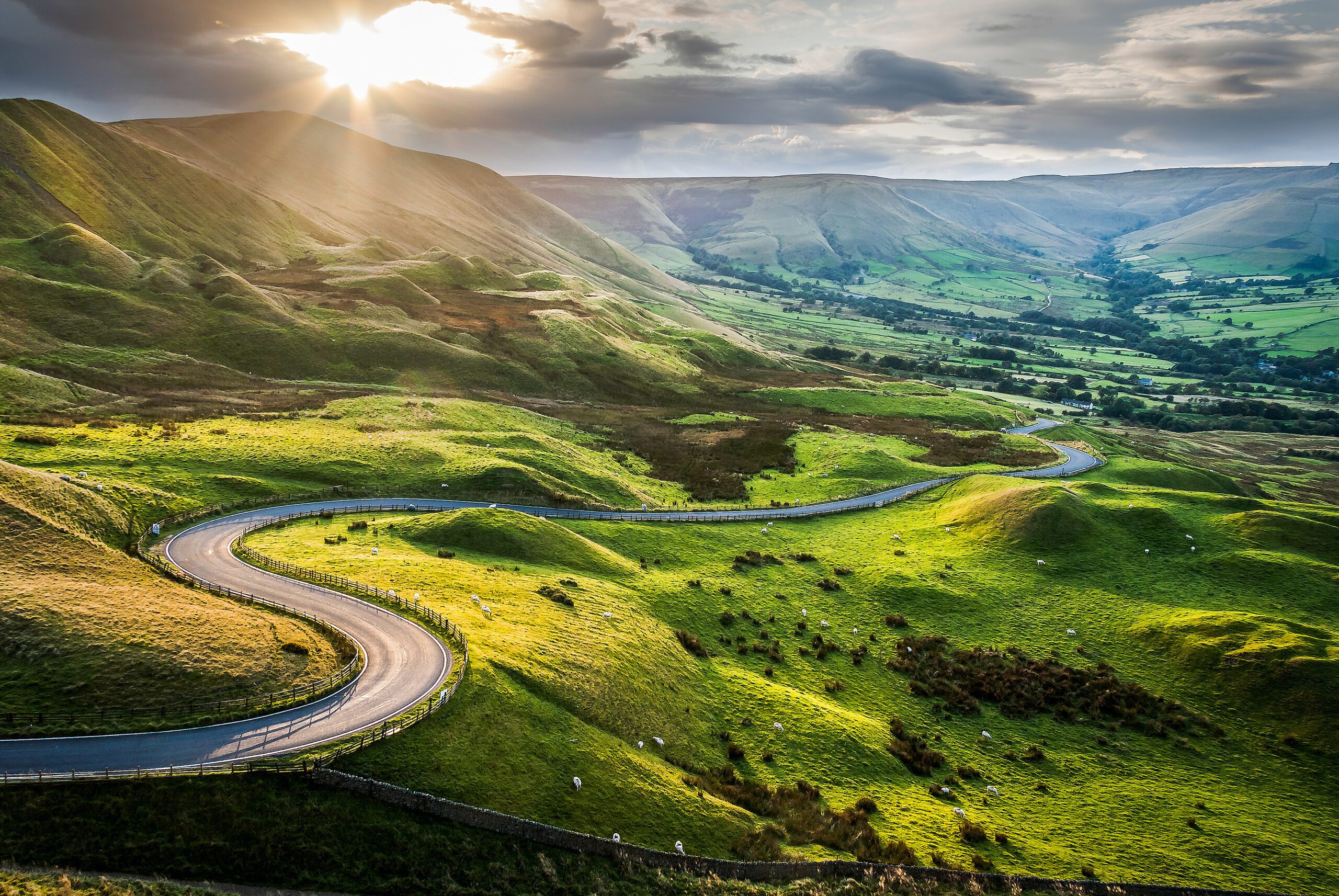 Digital Transformation Roadmap Guide: Steps, Best Practices, and Real ...